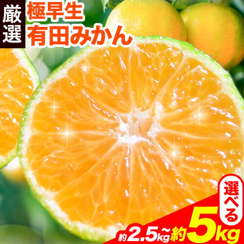 【楽天市場】【ふるさと納税】 厳選 極早生有田みかん 2.5kg+75g 4kg+120g 5kg+150g（傷み補償分）【YN26・ゆら早生】池田鹿蔵農園 日高町（池田農園株式会社）《9月 ...