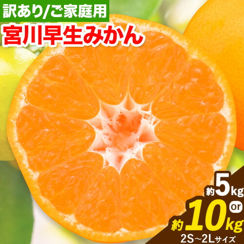 【楽天市場】【ふるさと納税】訳あり 宮川 早生みかん 選べる 約 5kg (2s～2lサイズ) 約 10kg (2s～2lサイズ) 笑いの里のTommyファーム《11月下旬-1月上旬頃出荷 ...