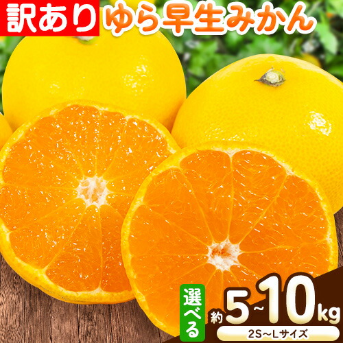 【楽天市場】【ふるさと納税】訳あり ゆら 早生 みかん 選べる 内容量 約 5kg (2S～Lサイズ) 約 10kg (2S～Lサイズ) どの坂果樹園《10月中旬-12月上旬頃出荷予定 ...