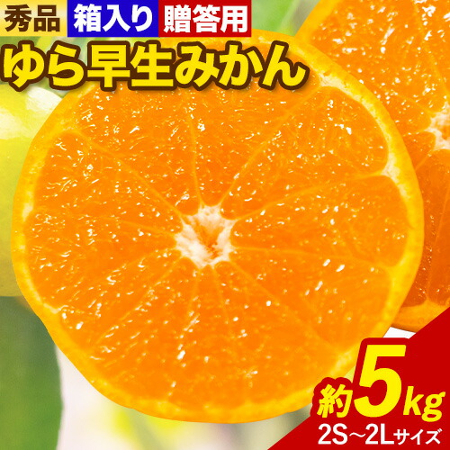 【楽天市場】【ふるさと納税】【先行予約】秀品 贈答用 ゆら 早生みかん 約 5kg (2S～2Lサイズ) 笑いの里のTommyファーム《2025年10月中旬-11月末頃出荷》和歌山県 日高川町 ...