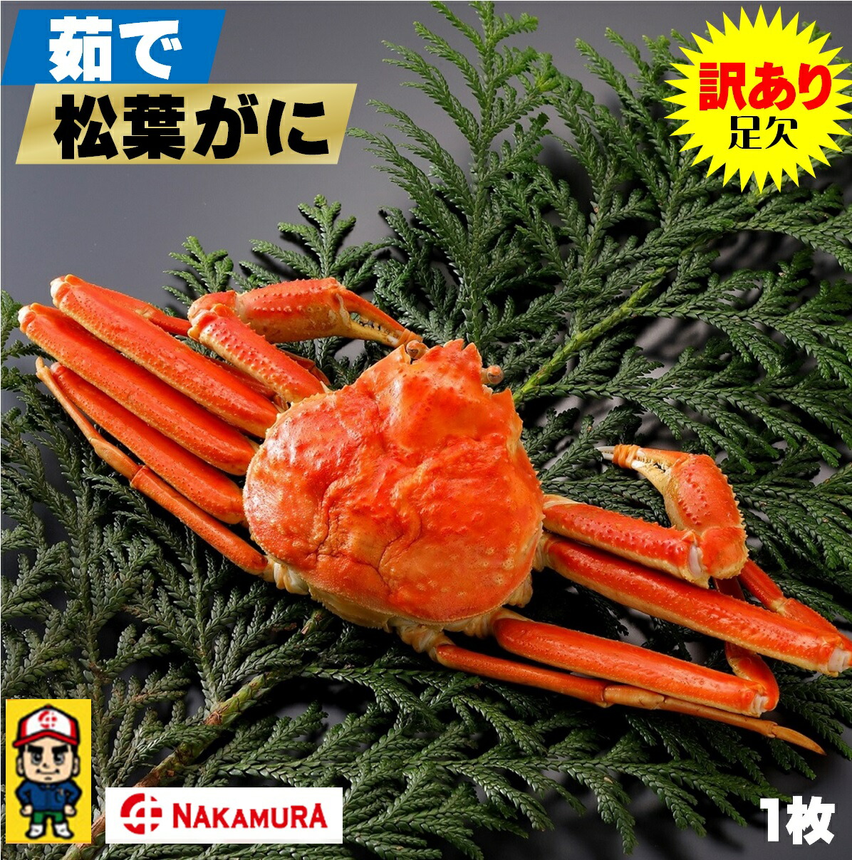 【楽天市場】【ふるさと納税】【訳あり】先行予約 鳥取県産 茹で松葉がに 大1枚（足1本なし） 約800g 冷蔵【23-070-001】【11月中旬～2月末発送】中村商店 松葉ガニ 蟹 かに ...