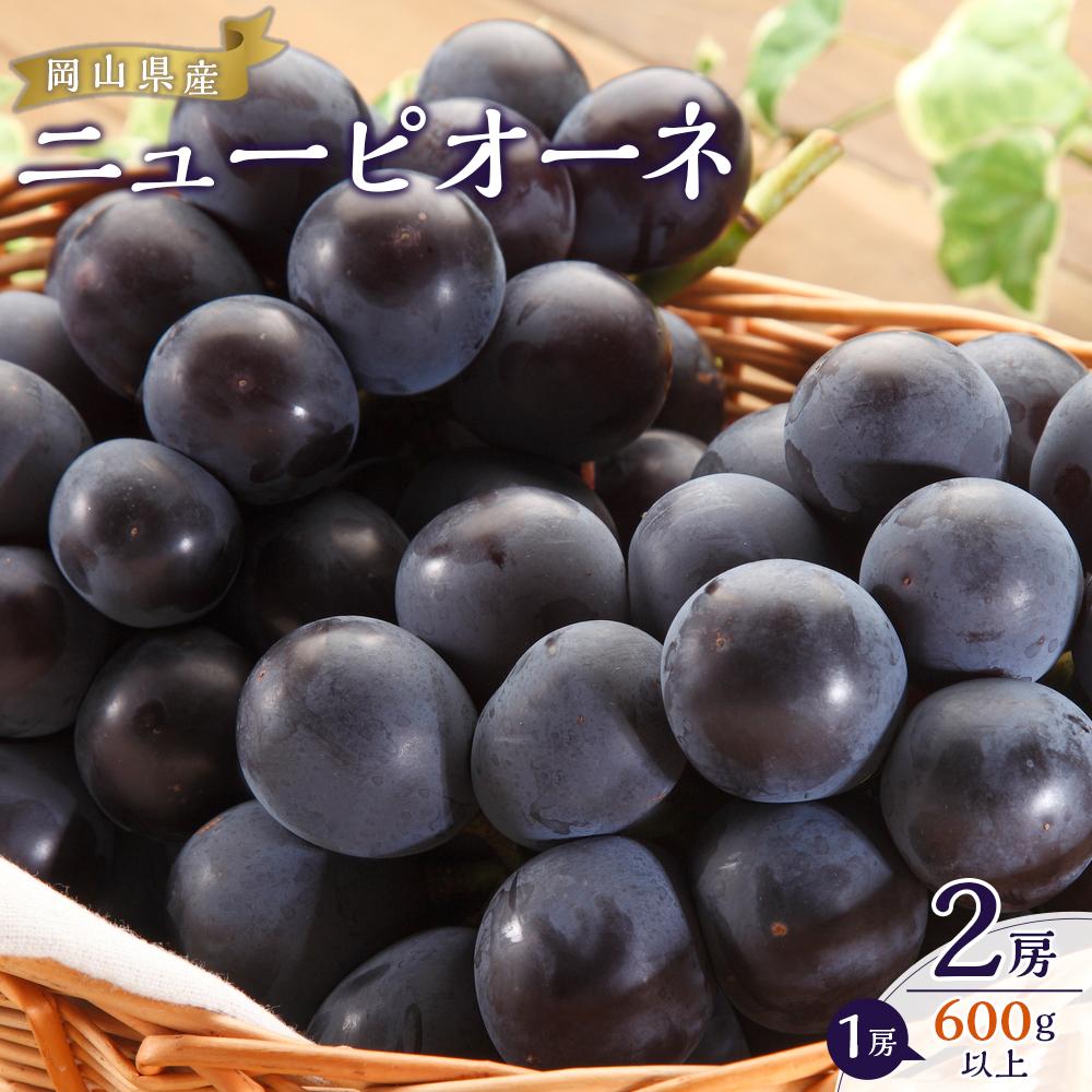 【楽天市場】【ふるさと納税】ぶどう 2025年 先行予約 ニュー ピオーネ 2房（1房600g以上） ブドウ 葡萄 岡山県産 国産 フルーツ ...
