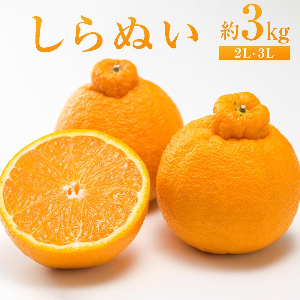 【楽天市場】【ふるさと納税】しらぬい 約3kg（2L・3L）【2025年2月下旬から発送】 | 不知火 柑橘 フルーツ 果物 くだもの 食品 人気 おすすめ 送料無料 広島県 尾道市：広島県尾道市