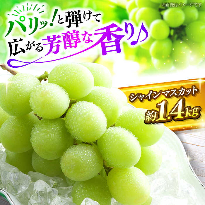 【楽天市場】【ふるさと納税】【先行予約】【9月上旬から9月下旬に順次発送】シャインマスカット 2房（約1.4kg） 種なし シャイン ...