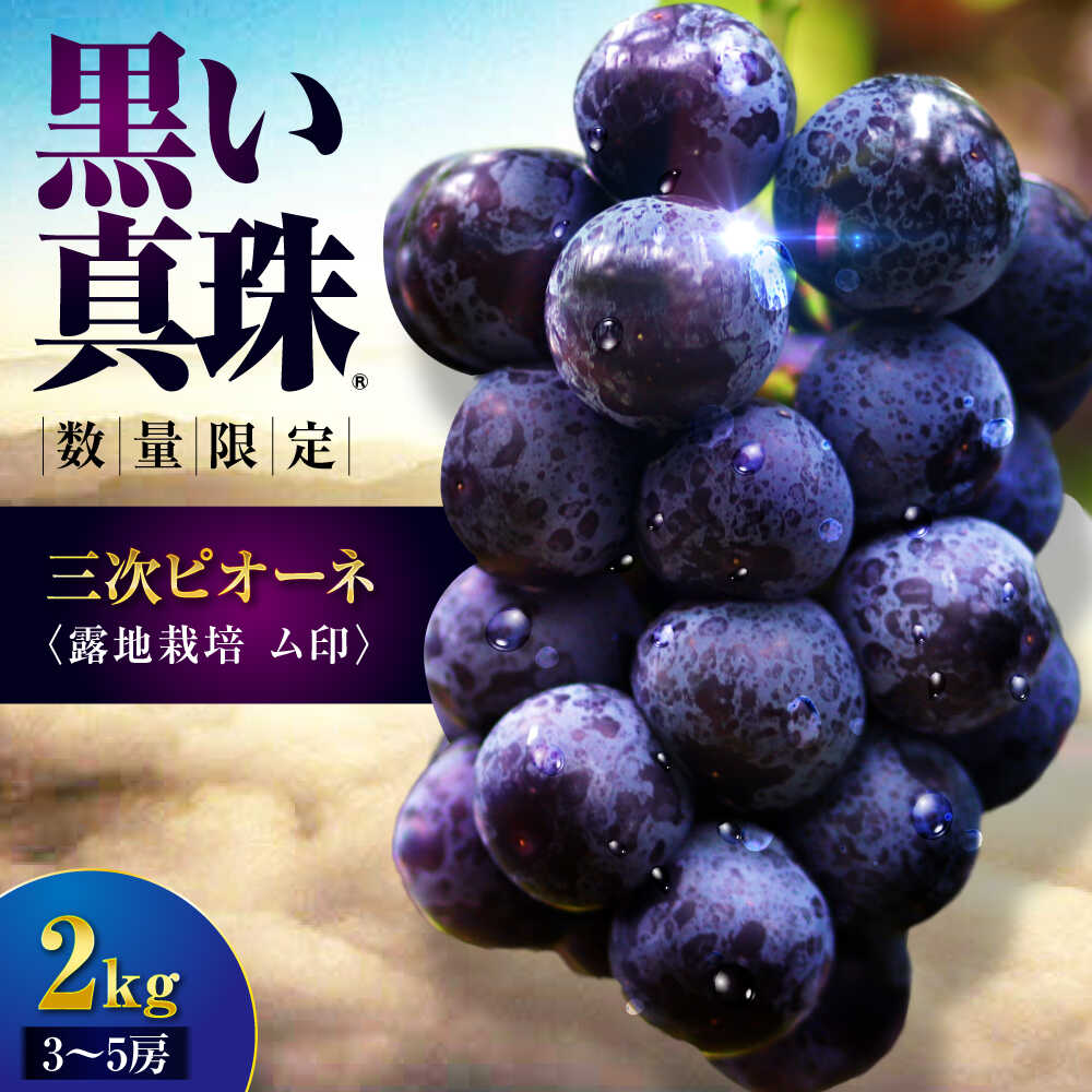 【楽天市場】【ふるさと納税】【数量限定】【先行予約】【8月下旬以降順次発送】 三次ピオーネ 露地栽培 ム印 2kg （3～5房） 70セット ...