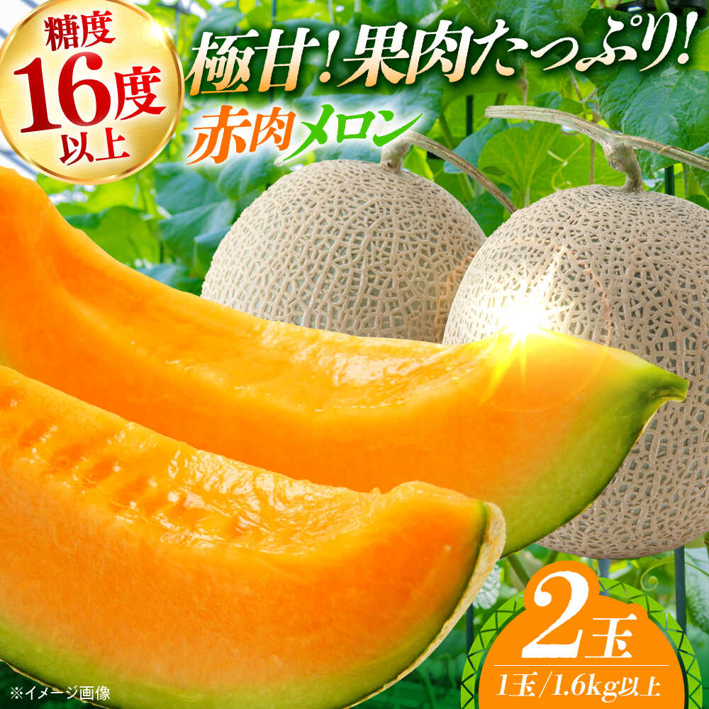 【楽天市場】【ふるさと納税】【先行予約】【7月下旬から8月上旬に順次発送】 メロン 2玉 計3kg以上（1玉 約1.6kg以上） | 赤肉 ...