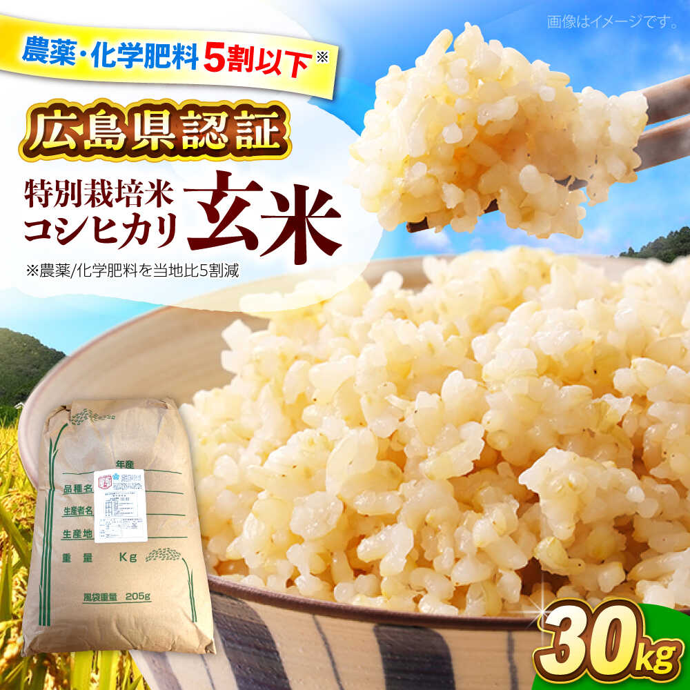 【楽天市場】【ふるさと納税】【先行予約】【9月中旬から順次発送】特別栽培米 コシヒカリ 玄米 30kg お米 こしひかり ご飯 コシヒカリ お ...