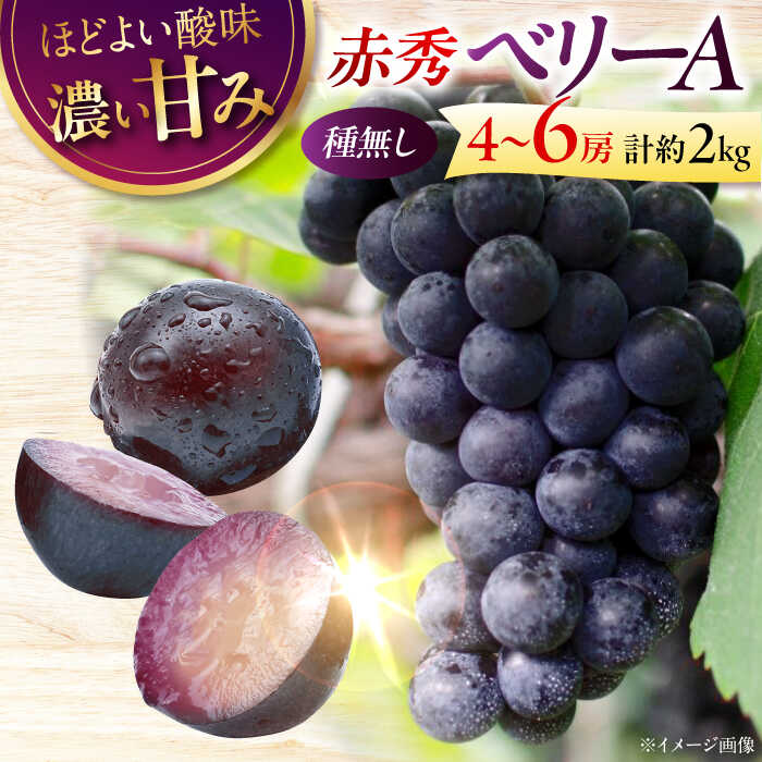 【楽天市場】【ふるさと納税】ぶどう 【9月上旬から発送】ぶどう ベリーA 2kg（4～6房） | 赤秀 ぶどう 葡萄 ブドウ フルーツ 果物 ...