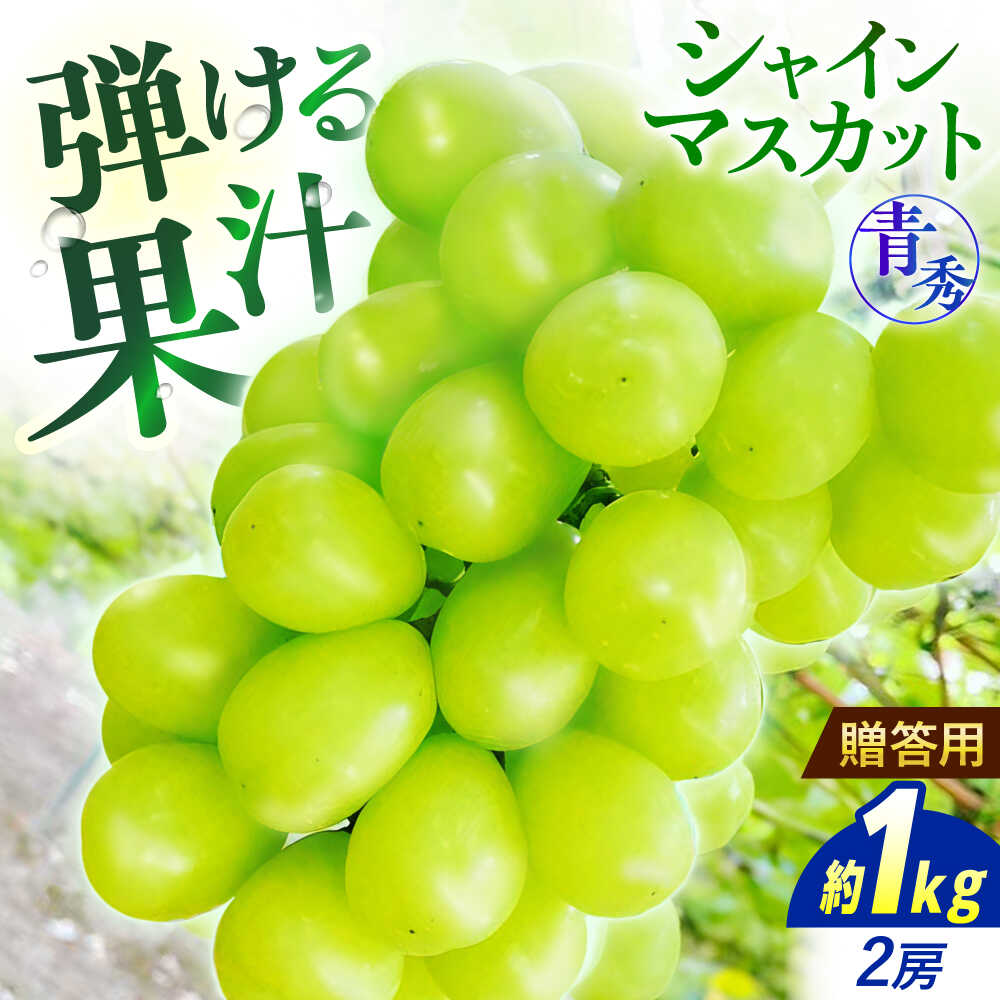 【楽天市場】【ふるさと納税】 ぶどう シャインマスカット 1kg（2房 青秀） 露地栽培 シャインマスカット マスカット 果物 フルーツ ...