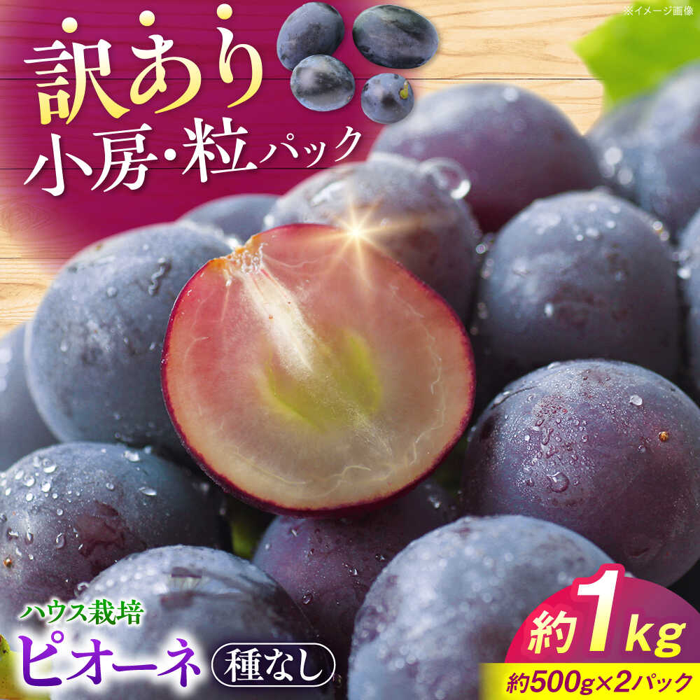 【楽天市場】【ふるさと納税】【先行予約】【8月上旬から8月末に順次発送】【訳あり】ピオーネ 約1kg（約500g×2パック） | ハウス栽培 ...