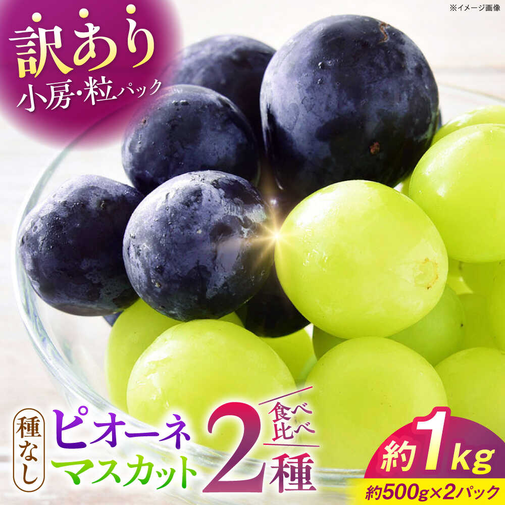 【楽天市場】【ふるさと納税】ぶどう【2026年先行予約】＜9月中旬から順次発送＞【訳あり】ピオーネ シャインマスカット 2種セット 計約1kg ...