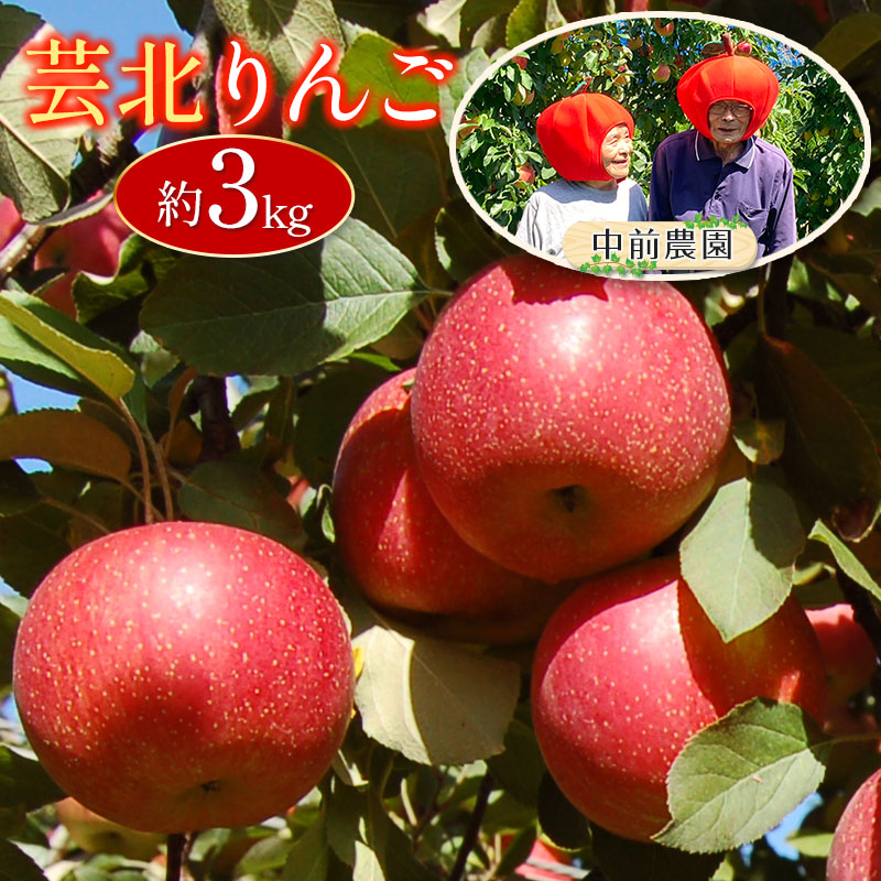 【楽天市場】【ふるさと納税】りんご 国産 3kg 農家直送 中前農園 芸北りんご 林檎 シナノスイート ぐんま名月 ジョナゴールド ふじ：広島