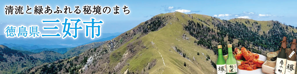 【楽天市場】【ふるさと納税】 そうめん 半田そうめん 7袋 1680g ( 80g × 21束 ) 手延べ 素麺 主食 夏 イベント 母の日 父の日 贈り物 ギフト 贈答 プレゼント 徳島県 ...