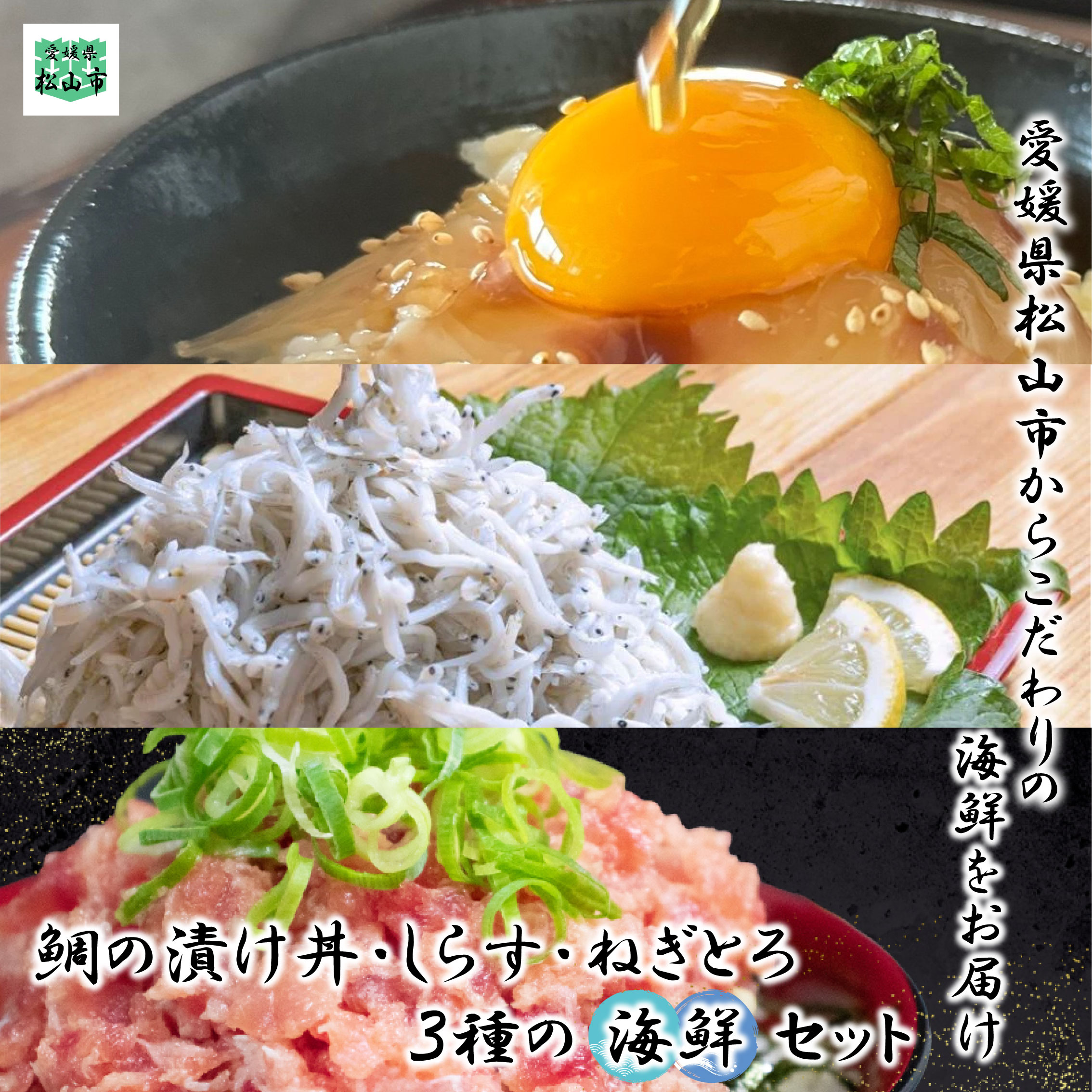 【楽天市場】【ふるさと納税】 松山海鮮セット 選べる 発送方法 定期便 鯛の漬け丼 鯛めし しらす ねぎとろ 海鮮 魚介 新鮮 愛媛県 松山市：愛媛県松山市