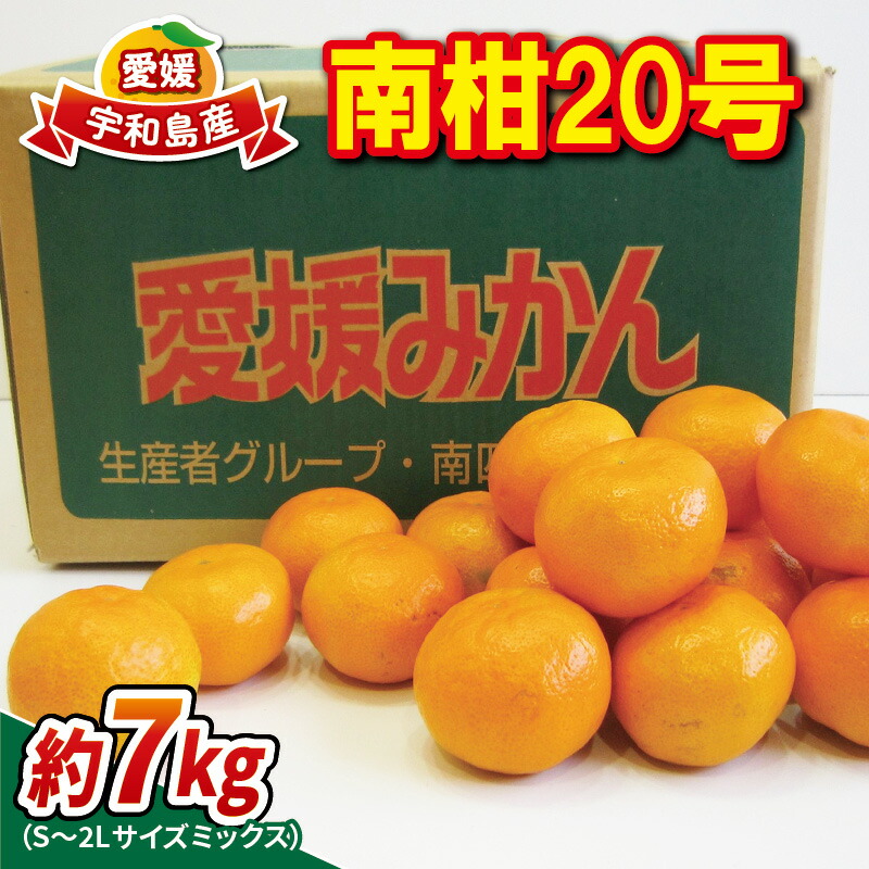 【楽天市場】【ふるさと納税】 愛媛 みかん 南柑20号 7kg S~2L サイズ ミックス 南四国ファーム 果物 フルーツ 柑橘 温州 蜜柑 産地直送 数量限定 産地直送 農家直送 数量限定 ...