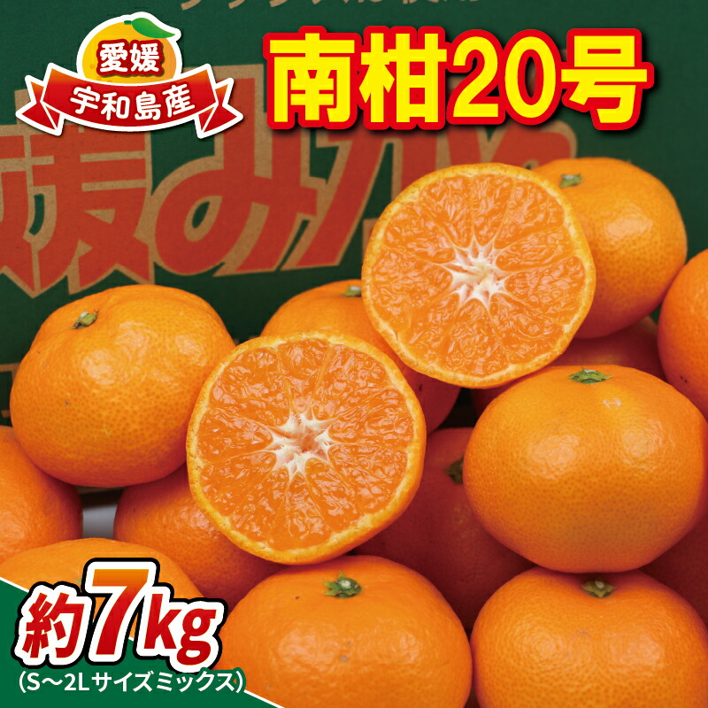 【楽天市場】【ふるさと納税】 愛媛 みかん 南柑20号 7kg S~2L サイズ ミックス 南四国ファーム 果物 フルーツ 柑橘 温州 温州みかん 果物 くだもの 蜜柑 産地直送 数量限定 ...