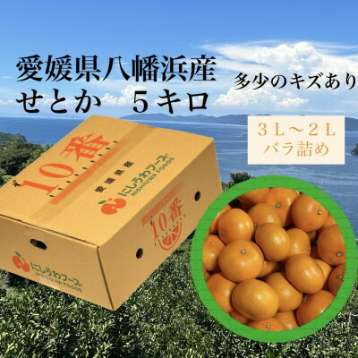 【楽天市場】【ふるさと納税】愛媛県八幡浜産「せとか」5kg サイズ3L～2L【F79-30】【1698686】：愛媛県八幡浜市