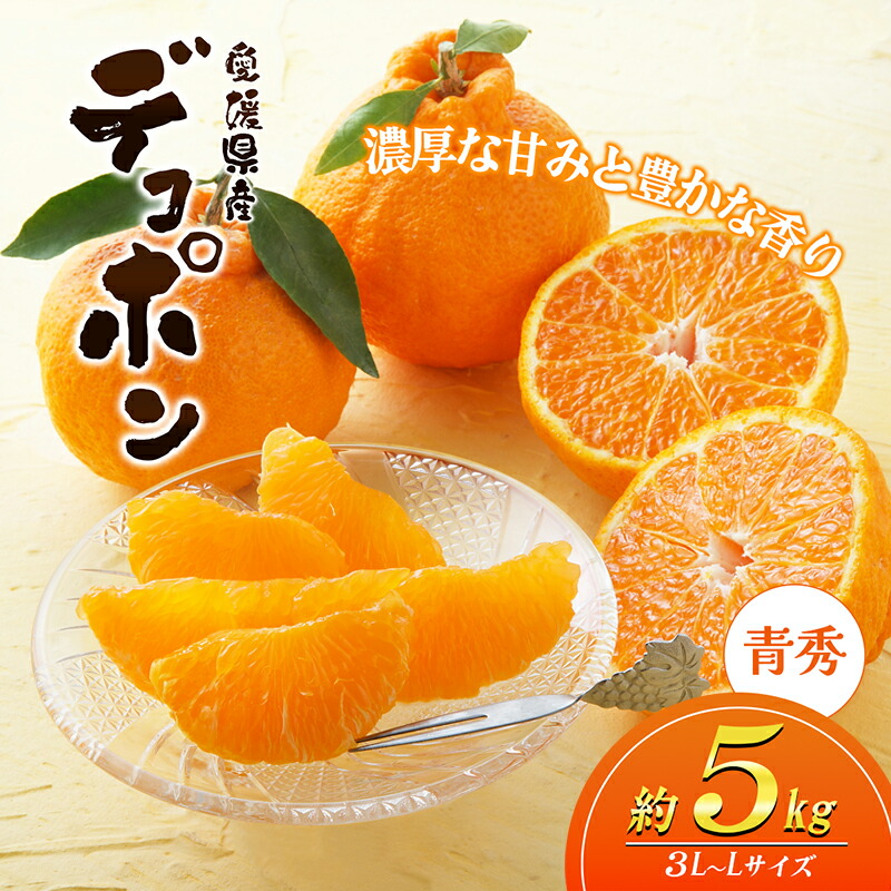 【楽天市場】【ふるさと納税】愛媛県産JA正規品 デコポン（青秀）5Kg 3L～L（2025年3月～順次発送）【旬 甘い みかん 蜜柑 柑橘 かんきつ 高級 先行予約】 果物類 フルーツ ...