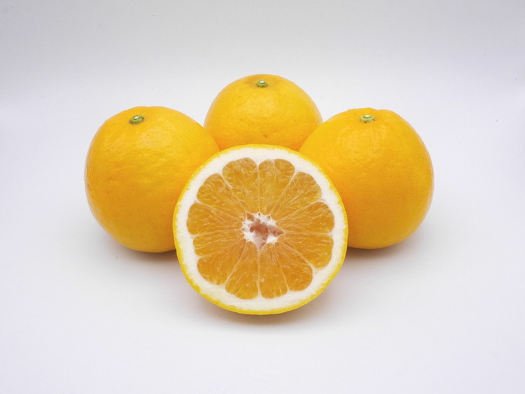 【楽天市場】【ふるさと納税】愛南産の河内晩柑10kg(約22～32個) ※2024年4月上旬～8月上旬頃に順次発送予定 ※北海道・沖縄・離島へ ...