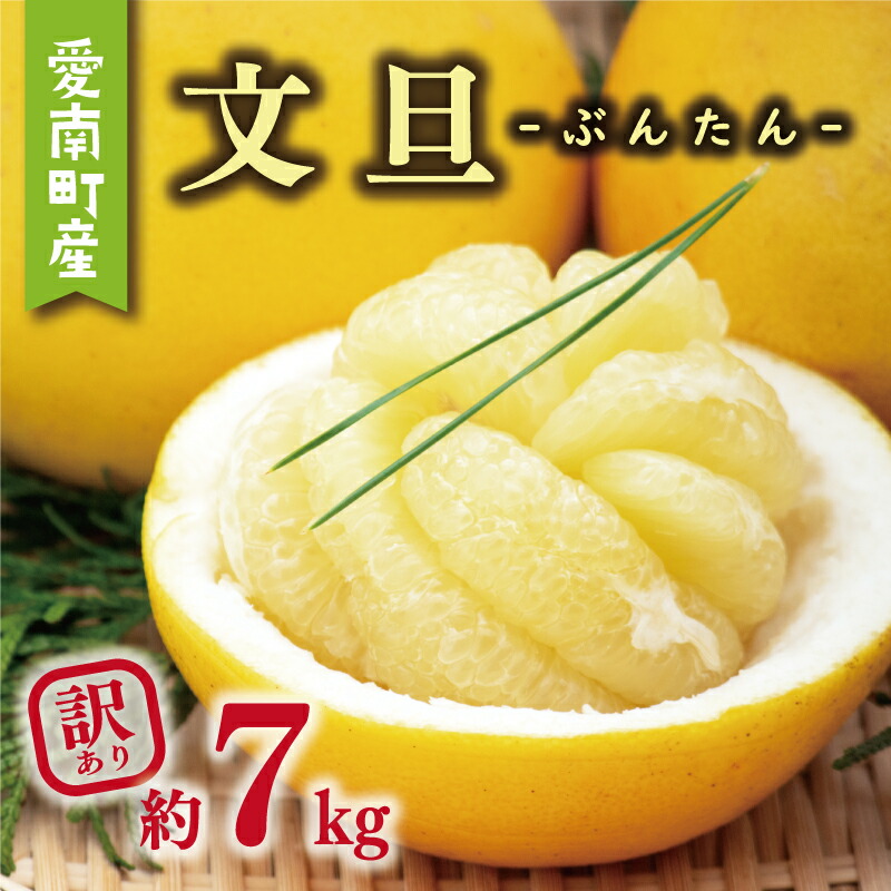 【楽天市場】【ふるさと納税】 訳あり 文旦 7kg 7000円 ぶんたん みかん mikan 蜜柑 ミカン わけあり 家庭用 産地直送 国産 農家直送 期間限定 数量限定 特産品 人気 限定 ...
