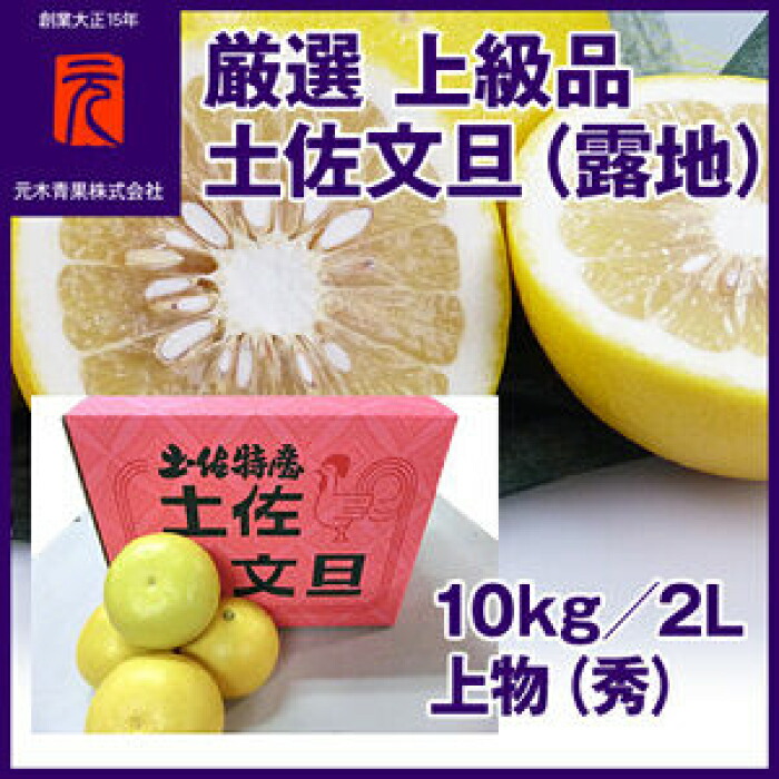 【楽天市場】【ふるさと納税】厳選上級品 土佐文旦（露地）／約10kg／2L 上物（秀）／【グレイジア株式会社】[ATAC329]：高知県高知市