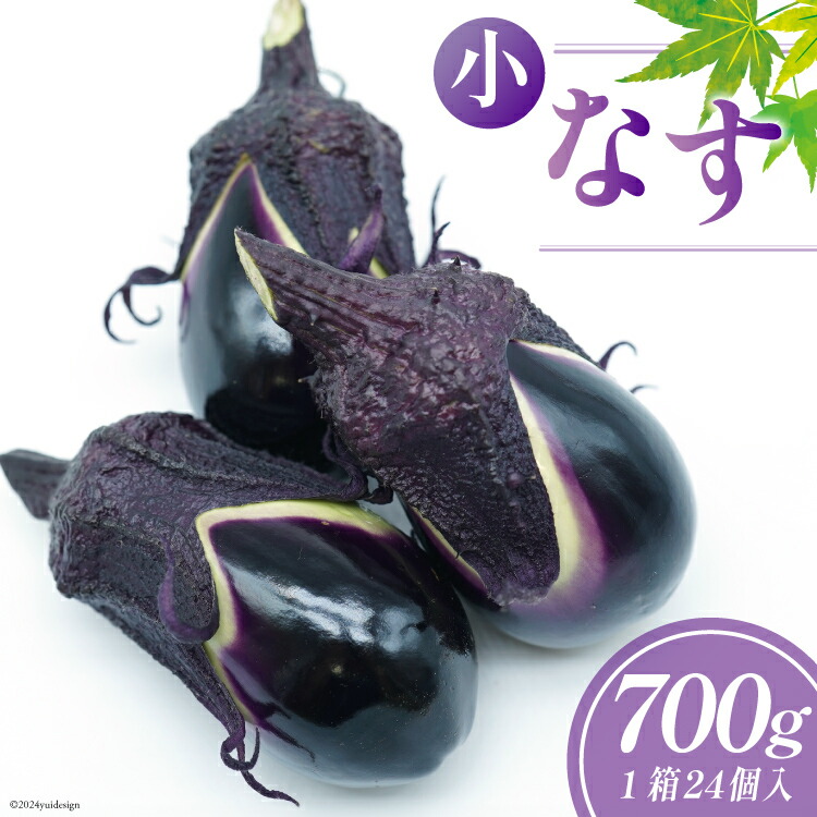 【楽天市場】【ふるさと納税】津野山特産 小なす 700g ( Lサイズ 24個 ) 箱入り [JA高知県高西営農経済センター津野山経済課 高知県 津野町 26ah0021] ナス 茄子 野菜 ...