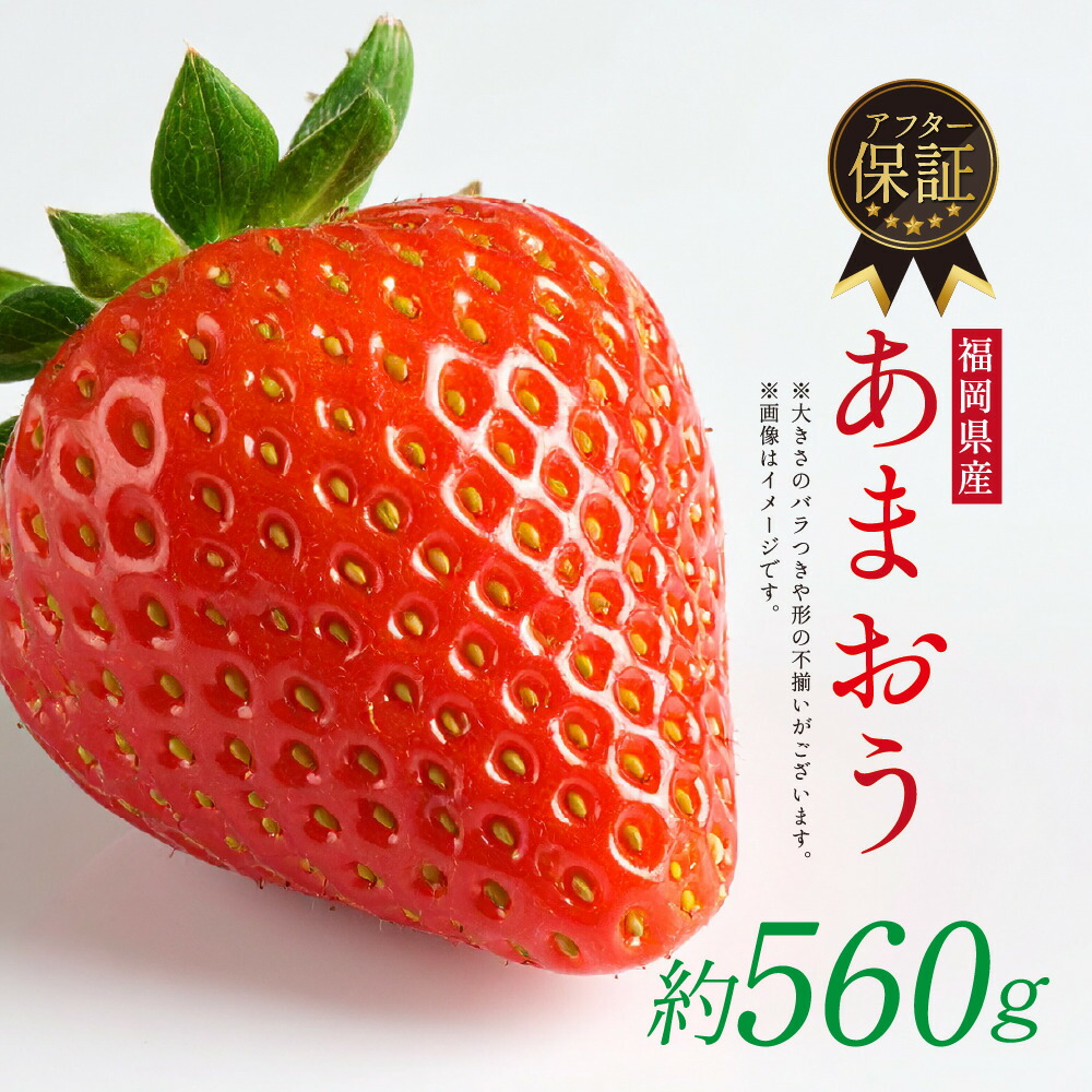 【楽天市場】【ふるさと納税】＜予約受付中！2026年1月上旬より順次発送予定＞福岡県産 あまおう(計約560g・280g×2P) 苺 いちご イチゴ 果物 フルーツ 国産 福岡県 ヨーグルト ...