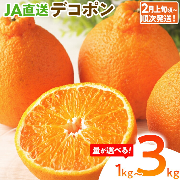 【楽天市場】【ふるさと納税】期間限定 デコポン フルーツ 果物 くだもの 選べる 1kg 3kg 柑橘 甘い 濃厚 ジューシー 産地直送 ...