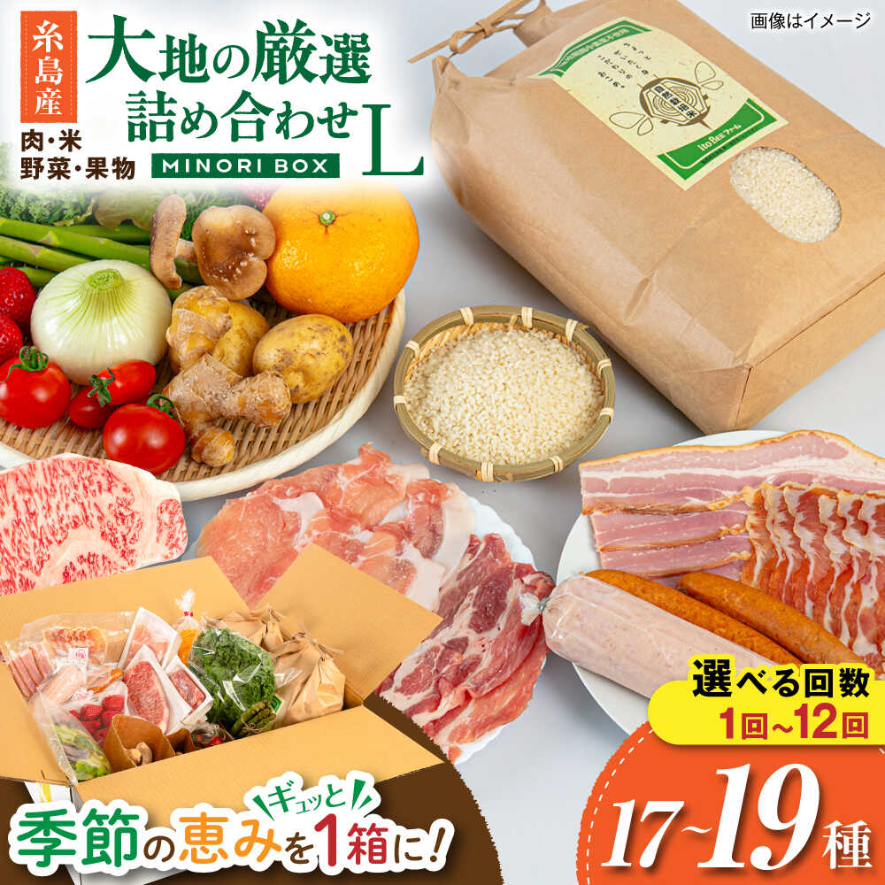 【楽天市場】【ふるさと納税】【全4回定期便】 糸島産 肉 米 野菜 果物 厳選詰め合わせ MINORI BOX Lサイズ【季節ごとに年4回お届け】 糸島市 / emma.Inc / 米 肉 ...