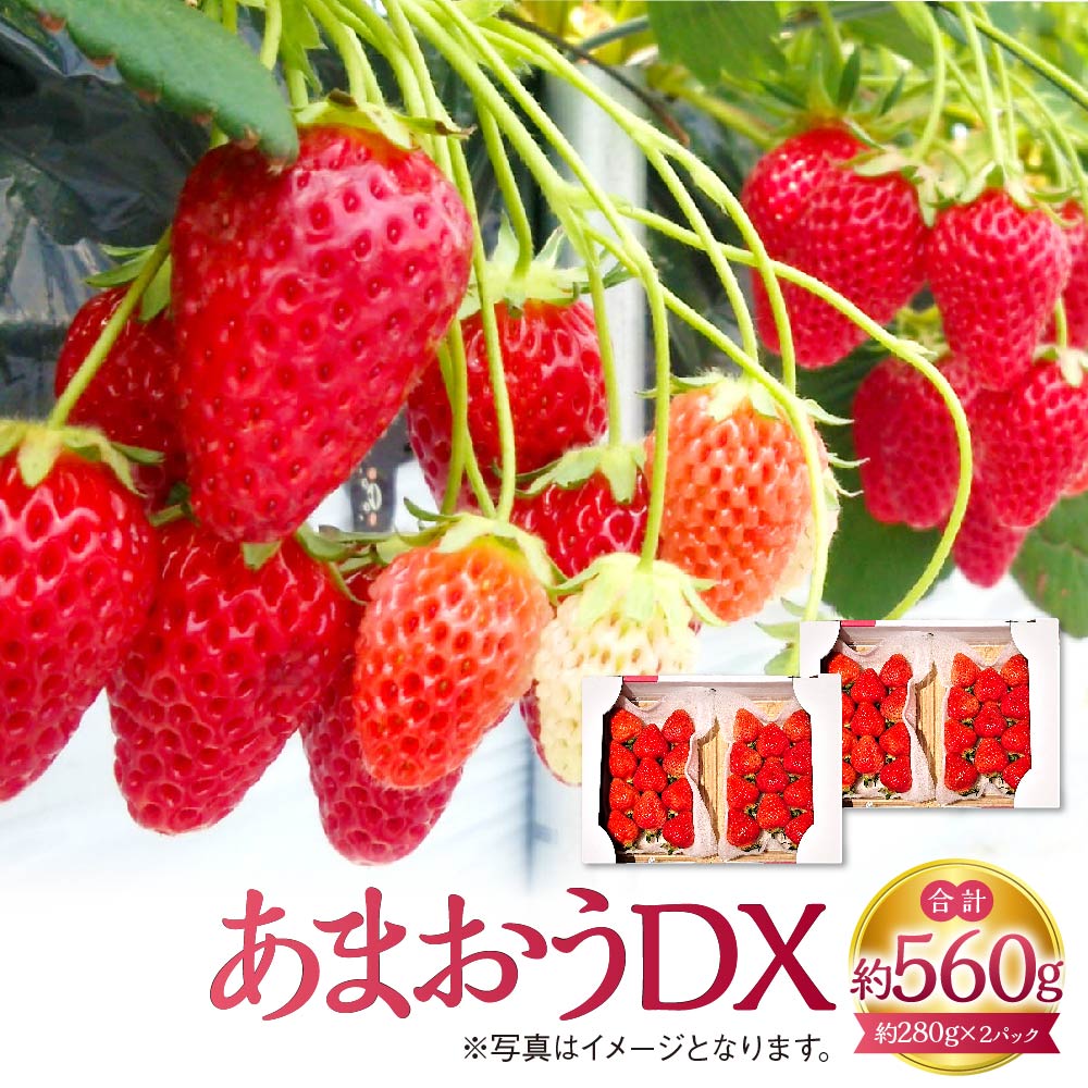 【楽天市場】【ふるさと納税】あまおうDX 約280g×2パック 合計560g いちご あまおう 苺 イチゴ ストロベリー フルーツ 果物 冷蔵 福岡県 岡垣町 送料無料 【2025年2月上旬 ...