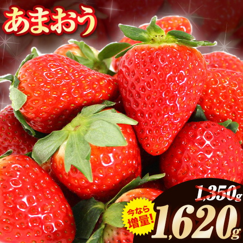 【楽天市場】【ふるさと納税】今だけ 増量中！ あまおう いちご 1350g→1620g (約270g×6パック) 苺 送料無料 【着日指定不可】《2024年3月末-4月末頃より順次出荷 ...