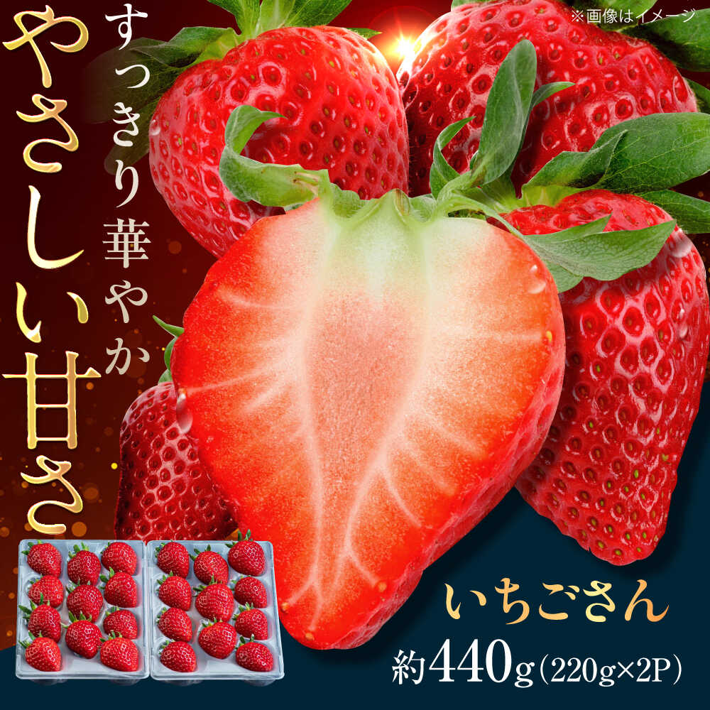 【楽天市場】【ふるさと納税】佐賀県産イチゴ「いちごさん」約440g（220g×2パック） /有限会社しげやす[UEQ002]：佐賀県武雄市