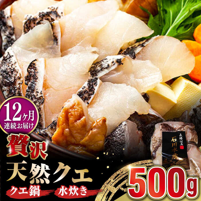 【楽天市場】【ふるさと納税】【全12回定期便】【 対馬産 】 天然 クエ 500g （身のみ）《対馬市》【石川水産】 鍋 水炊き 鮮度抜群 ...