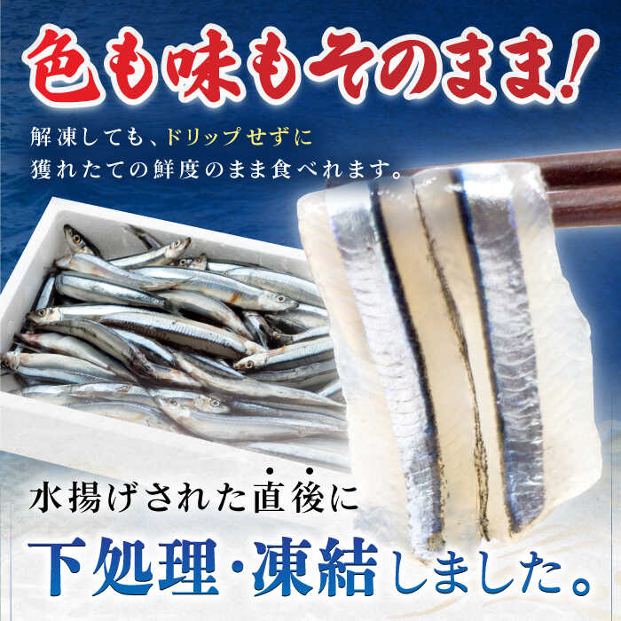 【楽天市場】【ふるさと納税】【鮮度抜群！絶品お刺身】五島産 きびなご お刺身用 20尾×9パック五島市/鯛福丸水産 [PDP001]：長崎県五島市