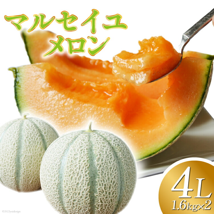 【楽天市場】【ふるさと納税】【期間限定発送】 メロン マルセイユメロン 4L 約 1.6kg × 2玉 [ふるさと企画 長崎県 雲仙市 item1538] めろん 赤肉メロン 赤肉 フルーツ ...
