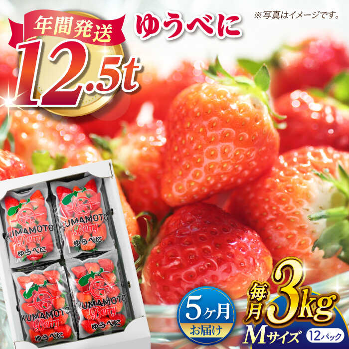 【楽天市場】【ふるさと納税】【先行予約】【5回定期便】いちご Mサイズ ゆうべに 3kg（12pc）【熊本ベリー】[ZER021]：熊本県山鹿市