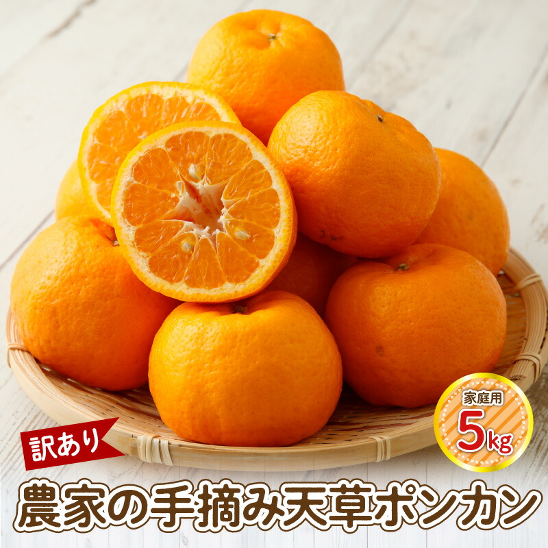 【楽天市場】【ふるさと納税】【訳あり】農家の手摘み 天草ポンカン 家庭用 5kg：熊本県天草市