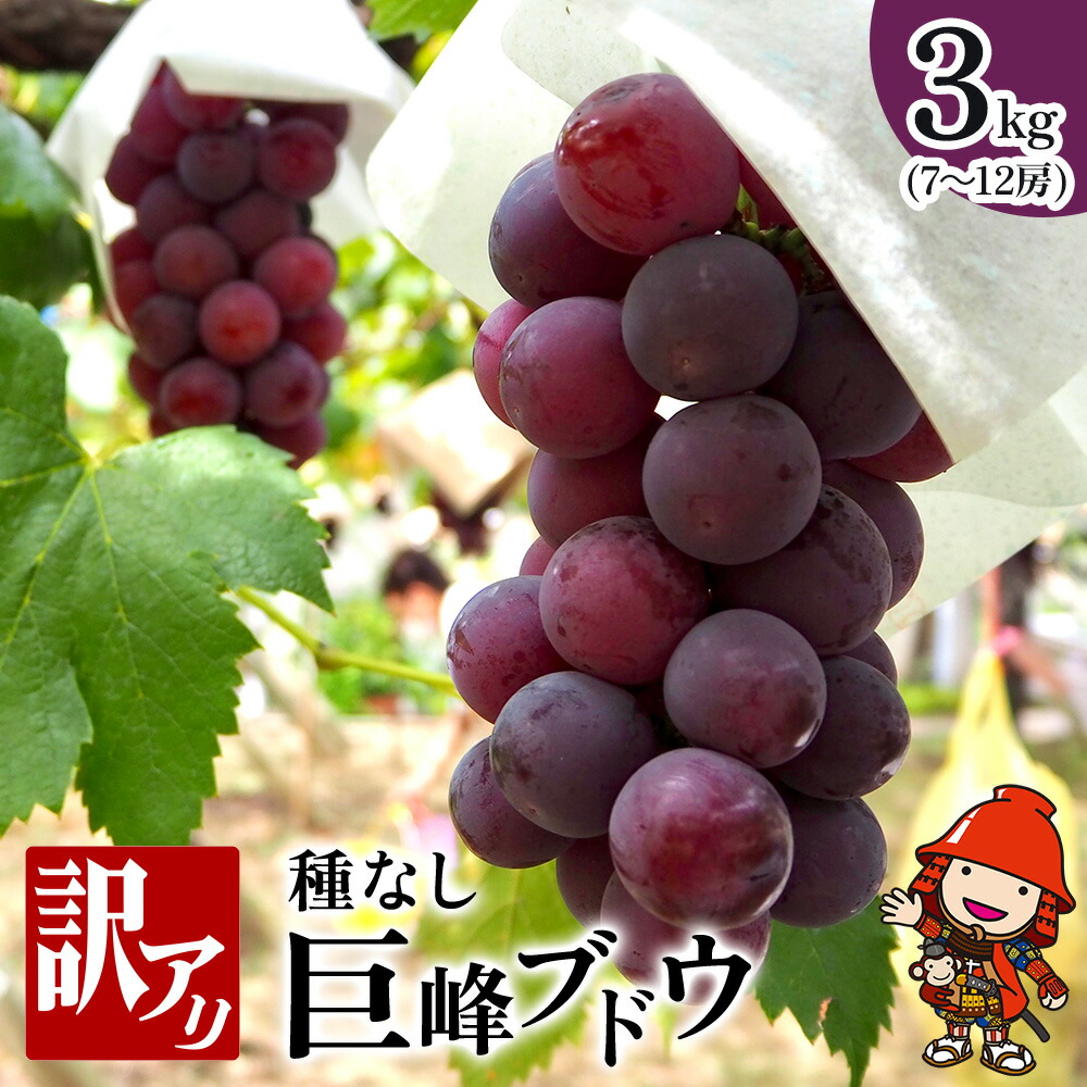 【楽天市場】【ふるさと納税】種なし 巨峰ブドウ (訳あり) 約3kg (7～12房) | ＜先行予約＞ ブドウ ぶどう 葡萄果物 フルーツ くだもの 産地直送 甘い 大分県産 九州産 中津市 ...