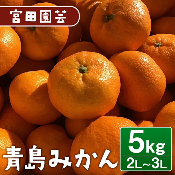 【楽天市場】【ふるさと納税】青島みかん(5kg・2L、3Lミックス) みかん 蜜柑 フルーツ 果物 くだもの 柑橘 期間限定【112300400】【宮田園芸】：大分県宇佐市