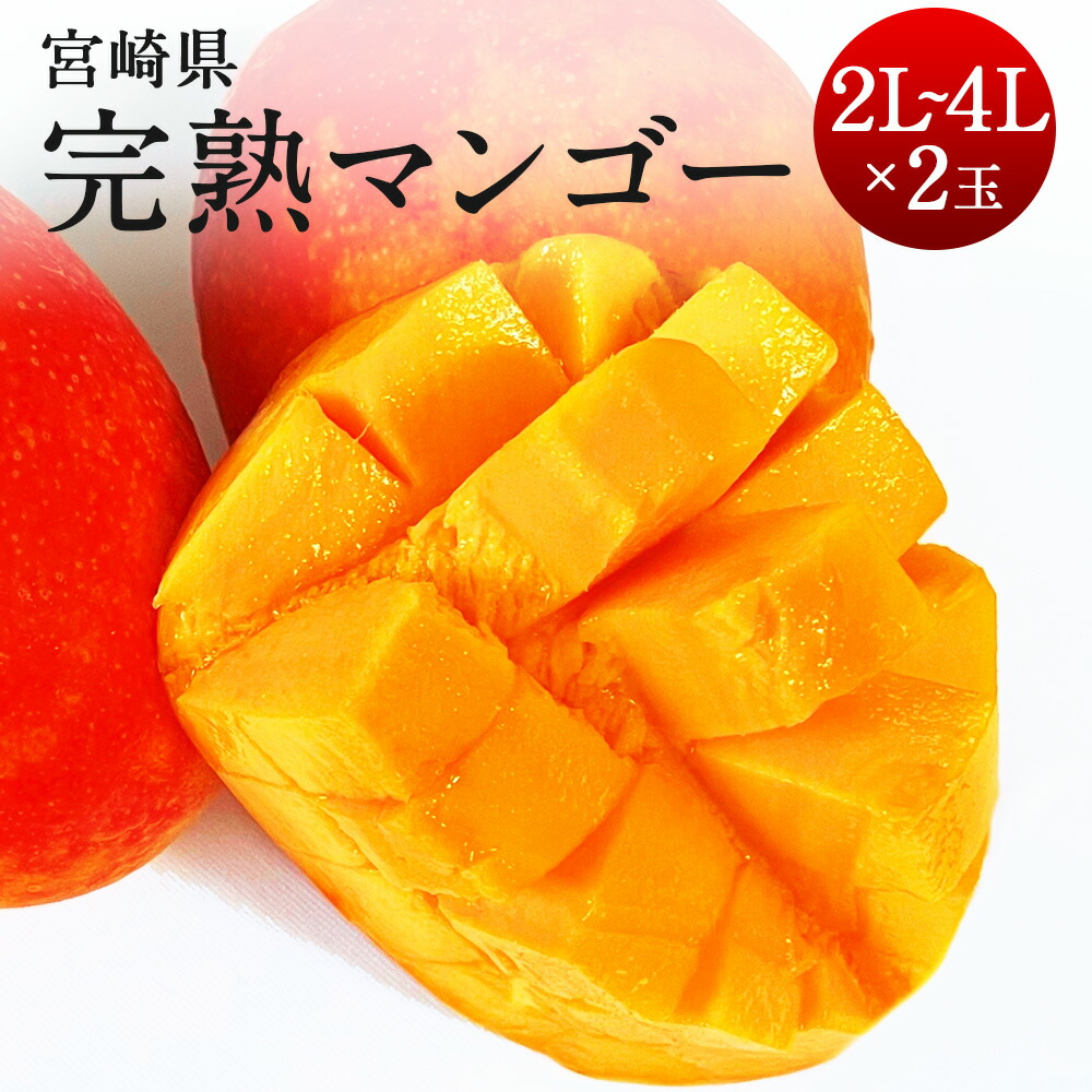 【楽天市場】【ふるさと納税】＜宮崎県 完熟マンゴー4L×2玉 1kg＞＜3L×2玉 900g＞＜2L×2玉 700g＞2024年4月下旬～7月中旬迄に順次出荷 マンゴー 2玉 選べる 果物 ...