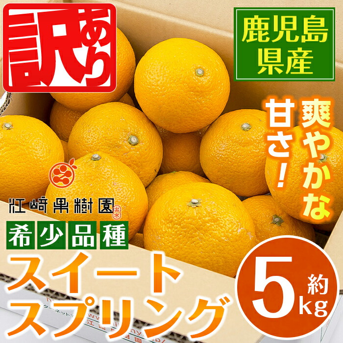 【楽天市場】【ふるさと納税】＜先行予約受付中！2025年12月下旬～2月下旬の間に発送予定＞ ＜数量・期間限定＞ 《傷ありのため訳あり ...