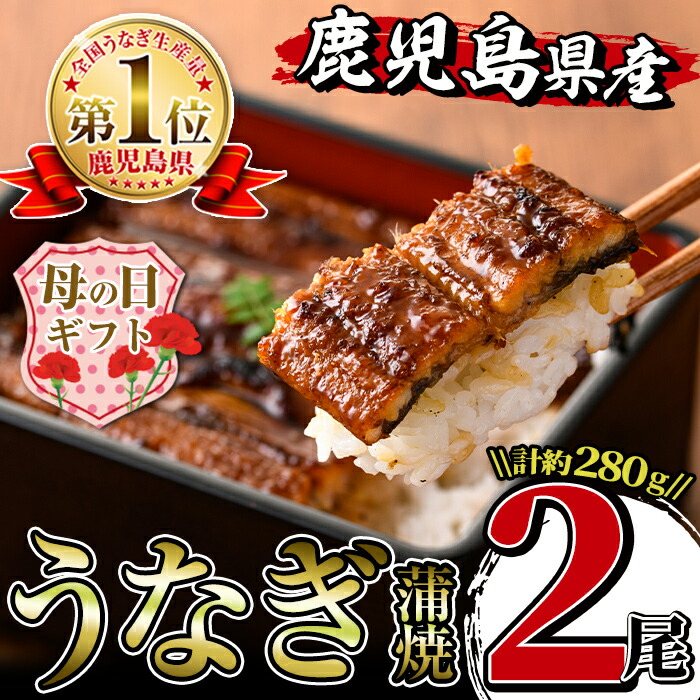 【楽天市場】【ふるさと納税】【母の日ギフト】鹿児島県産うなぎ蒲焼2尾セット(約140g×2・計約280g) うなぎ 鰻 ウナギ 2尾 蒲焼き ...