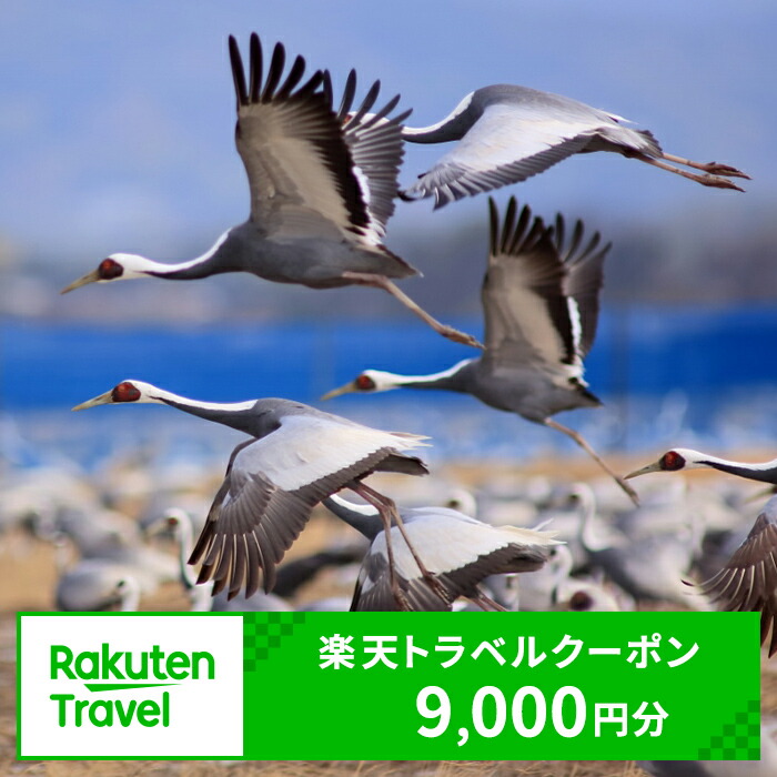 【楽天市場】【ふるさと納税】鹿児島県出水市の対象施設で使える楽天トラベルクーポン 寄附額30,000円 観光地応援 温泉 観光 旅行 ホテル ...