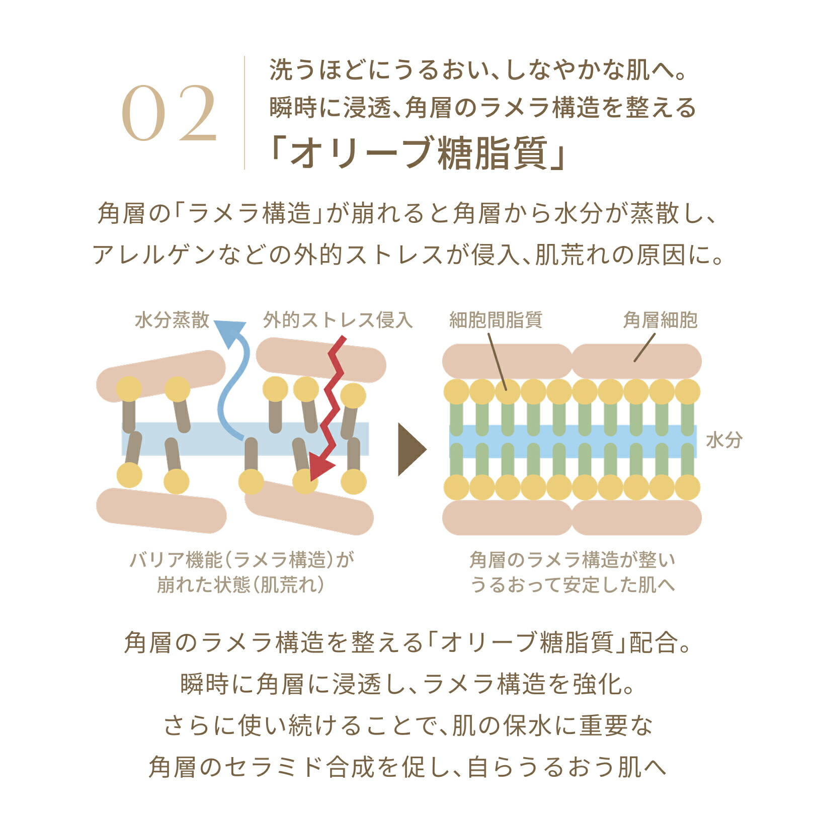 FATUITE公式 ピュリファイン ディープクレンジングジェル クレンジングオイル クレンジングミルク くすみ 毛穴 角栓 ウォータープルーフ ゴワつき ピーリング マイルドクレンジング ...