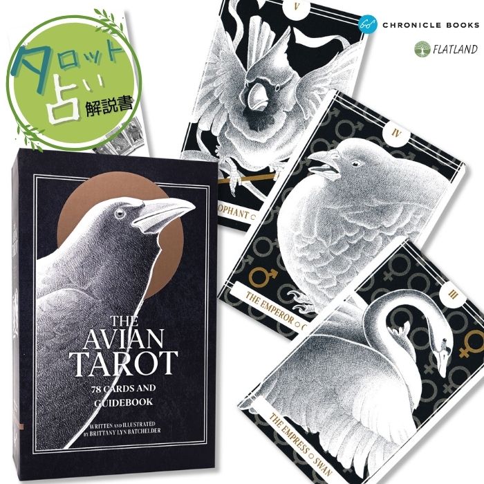 【楽天市場】エイヴィアン タロット Avian Tarot タロット占い方 日本語解説書付き 正規品 タロットカード 78枚 鳥：F ...