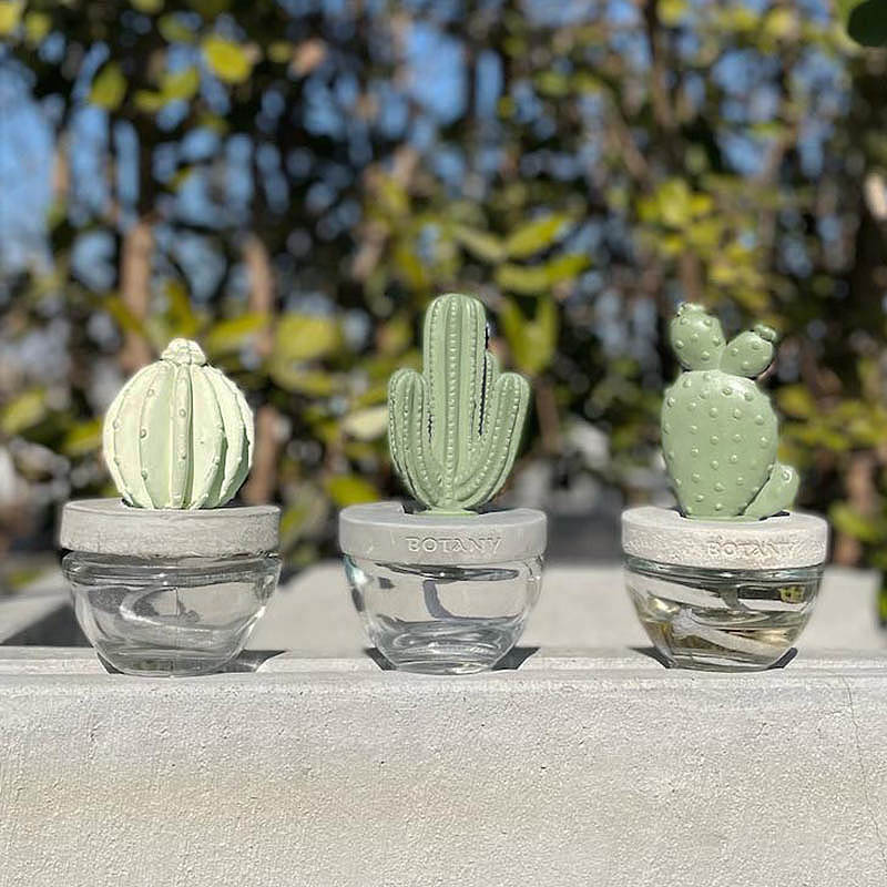 【楽天市場】DULTON ( ダルトン ) CACTUS FRAGRANCE DIFFUSER カクタス フレグランス ディフューザー | 芳香剤 | サボテン | さぼてん | リビング ...