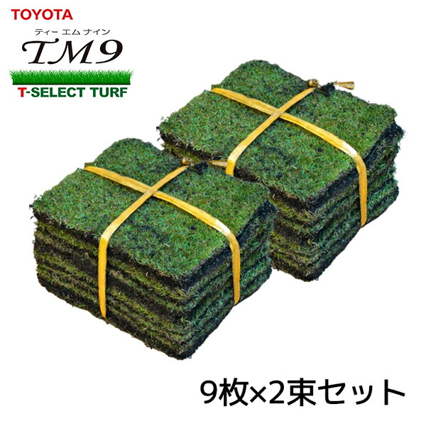 【楽天市場】予約販売 10/1以降出荷【2平米用 普通便】芝生 TM9 ティーエムナイン 2平米用 1ケース(2束)1束9枚入り 省管理型 トヨタ TOYOTA 天然芝 TM-9 張り芝用 ...