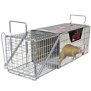 【楽天市場】栄工業 栄ヒルズ 小型獣捕獲器 IT-2 Dtype NO.202：セミプロDIY店ファースト