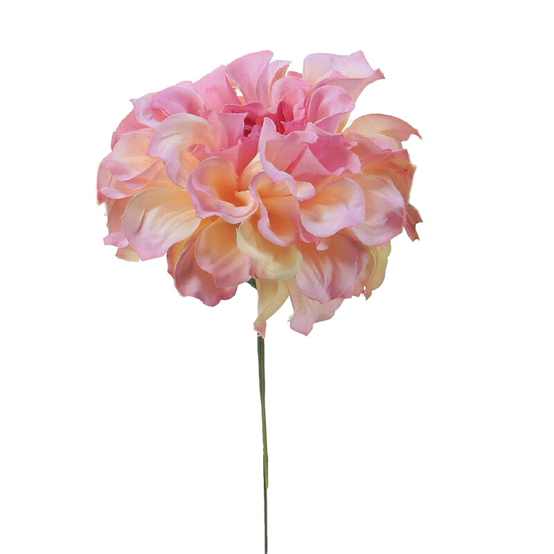 【楽天市場】ダリアピック クリ−ムピンク a-31451-003c 造花アーティフィシャル【ascaアスカ】：フラワーライフ サンエイクラフト