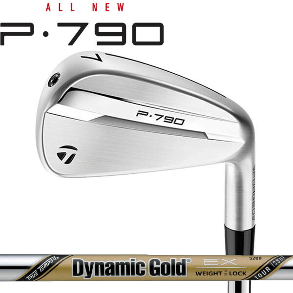 【楽天市場】テーラーメイド ニューP・790 アイアン 5本セット(#6～PW) [ダイナミックゴールド ツアーイシューEX] スチールシャフトDG ISSUE EX /X100/S200 ...